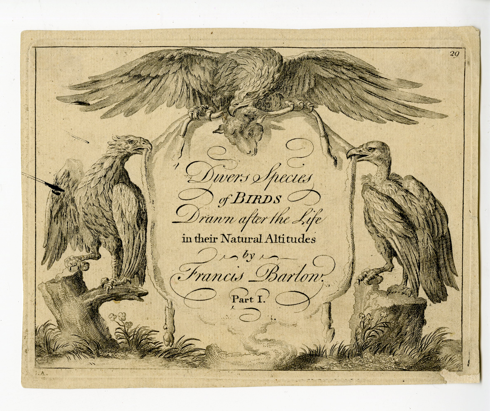 title engraving-frontispiece-eagle-vulture [After BARLOW, c.1700 ...