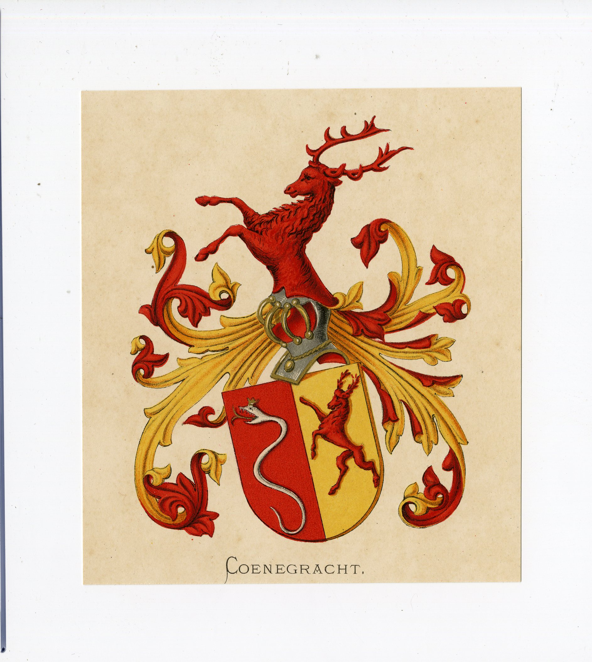 Antique Print - COENEGRACHT-COAT OF ARMS-FAMILY CREST-WENNING after ...