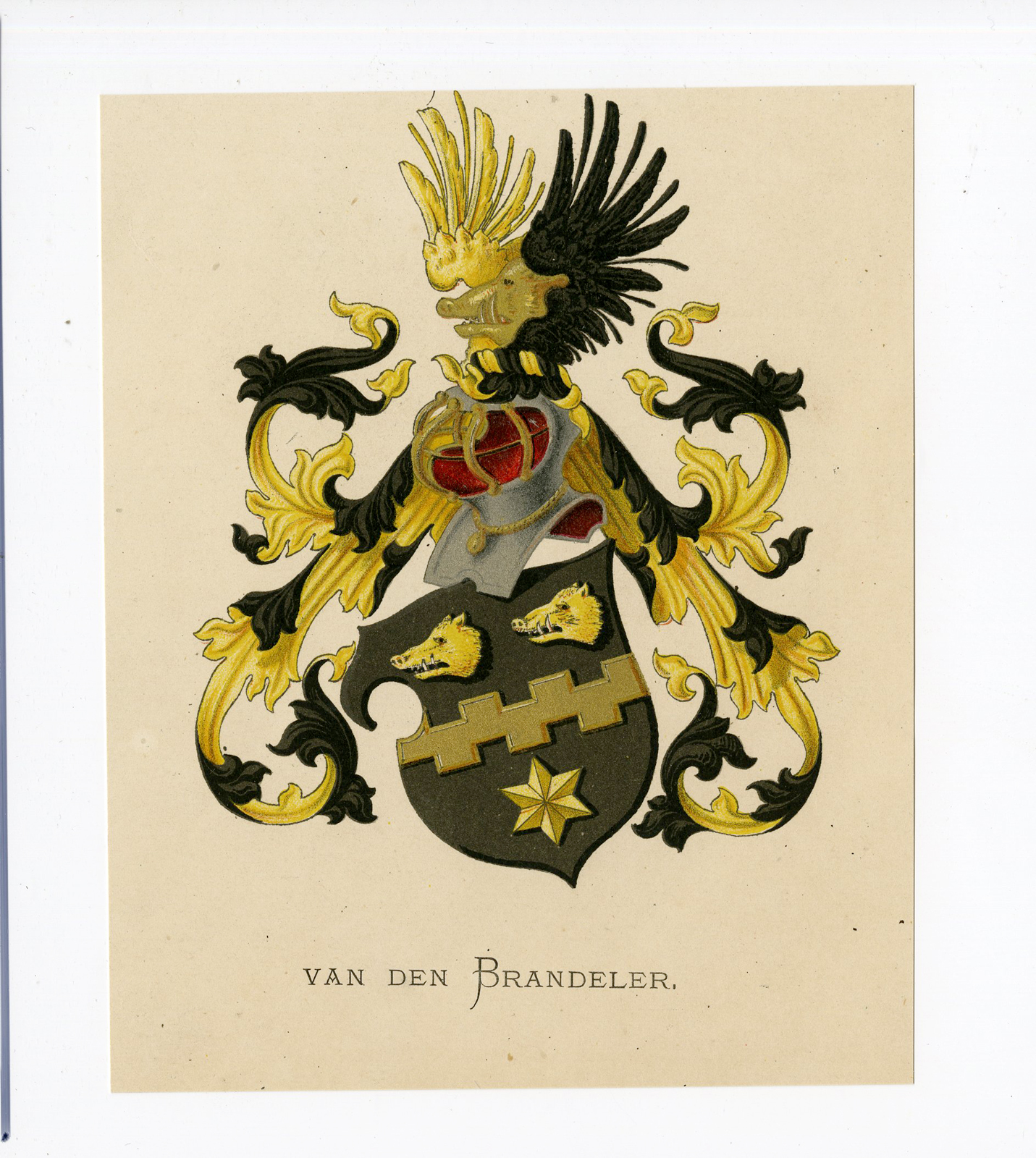 Antique Print - VAN DEN BRANDELER-COAT OF ARMS-FAMILY CREST-WENNING ...