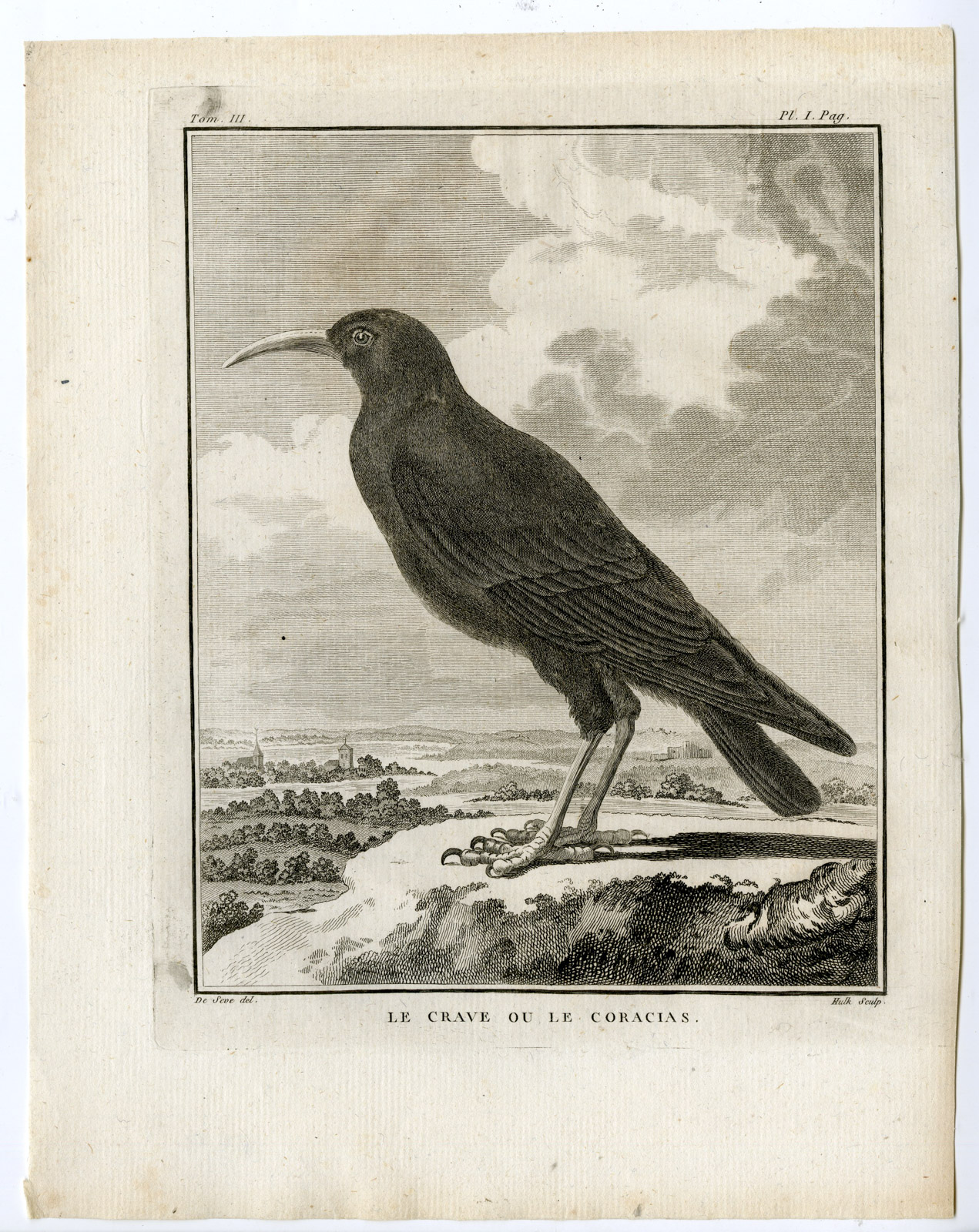 Antique Print-RED BILLED CHOUGH-CORNISH-PYRRHOCORAX-PL. 1-Buffon-Hulk ...