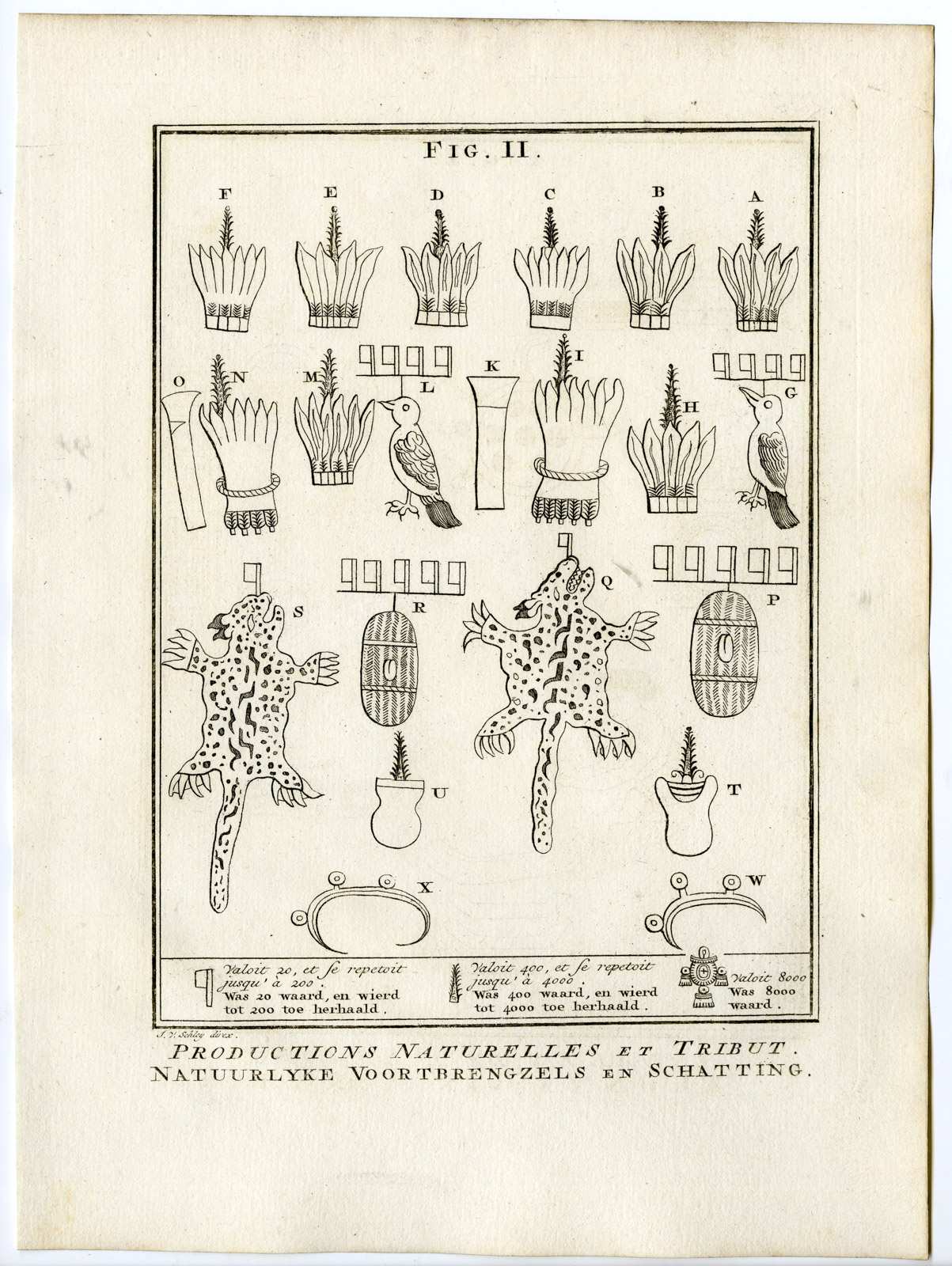 Aztec Glyphs