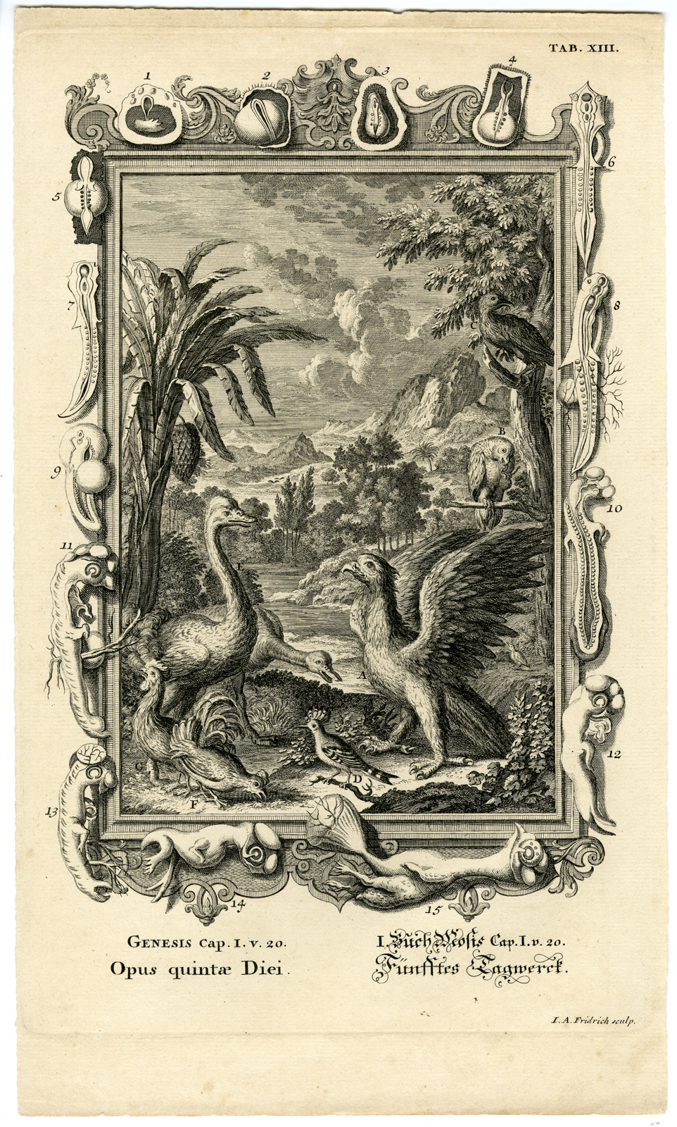 Antique Print-OLD TESTAMENT-GENESIS-CREATION-BIRDS-5TH DAY-BIBLE ...